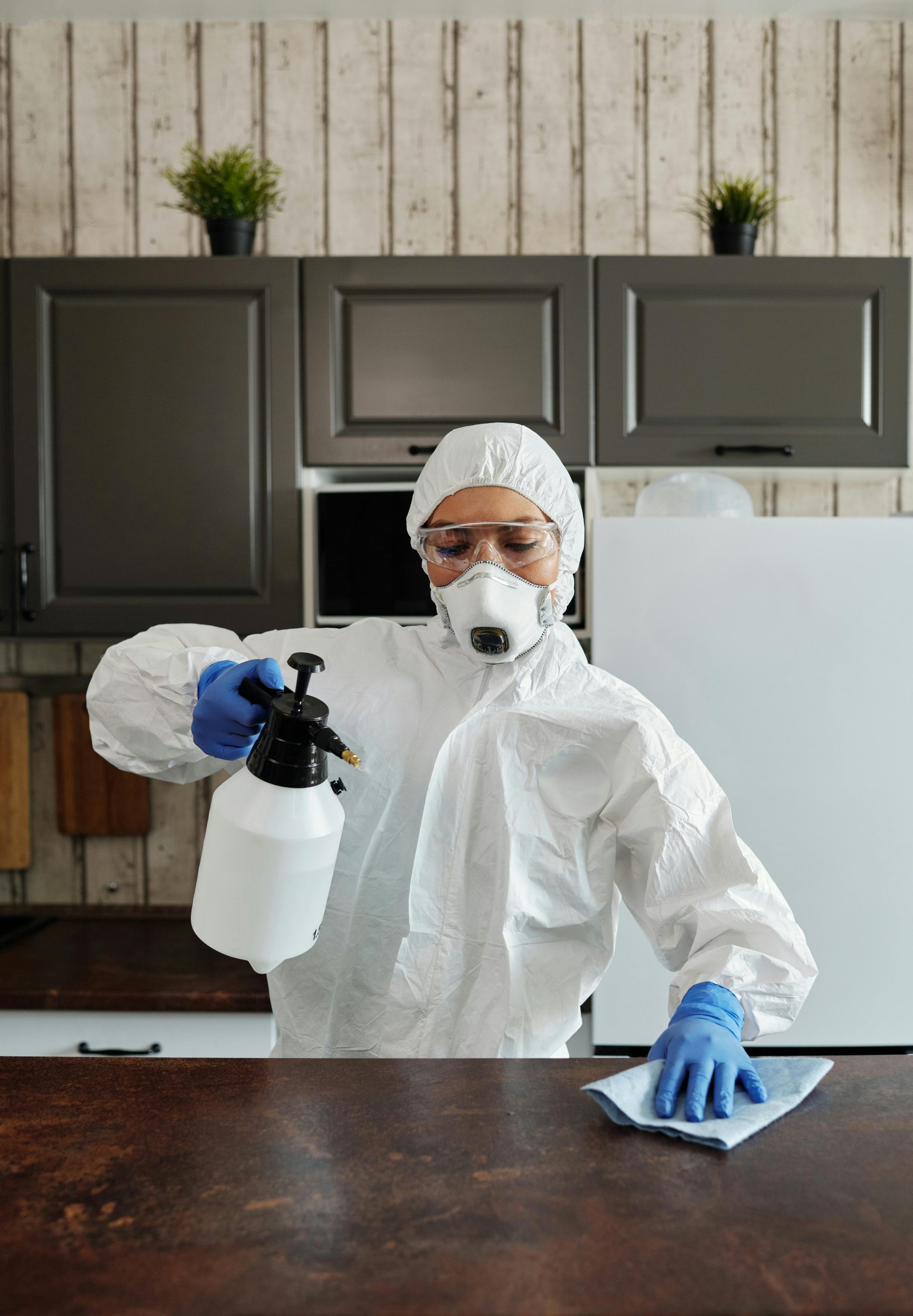 Commercial Pest Control La Mesa CA | Business Pest Treatments
